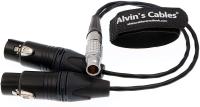 China Alvin's Cables XLR Breakout Audio Input Cable For Atomos Shogun Monitor Recorder 10 Pin To Dual XLR 3 Pin Female for sale