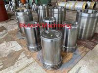 China 250mm Custom Hydraulic Cylinder for Multi Daylight Furniture Parquet Hot Press 50-200 Ton for sale