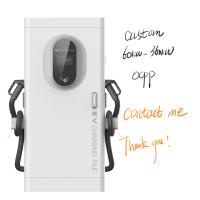 China 180KW DC EV Charging Station Commercial Dc Fast Charging Stations CCS1 CCS2 GB/T for sale