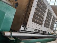 China Paper Egg Tray Making Machine Rotary 3 by 4 Mold Production Line Compact and Easy Operation Producing 2000 Egg Trays Per Hour for sale