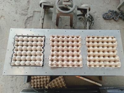 China Customized Automatic Small Egg Tray Making Machine 7.5KW Vacuum Pump Low Failure for sale