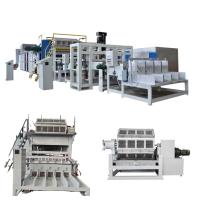 China Automatic Paper Egg Tray Machine Egg Carton Production Line Pulp Moulding Machine Price PLC Controlled for sale