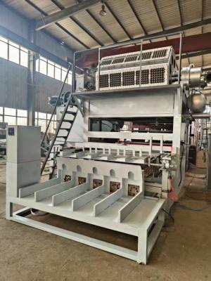China Fully Automatic 5000pcs/h Capacity 5*8 Molds Rotary Forming Model Egg Tray Production Line Paper Pulp Molding Machine for sale