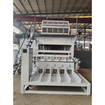 China High Capacity Paper Egg Tray Machine Free Installation Model Offered for sale