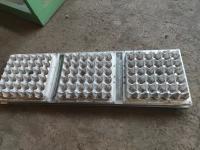 China 35KW Small Egg Tray Machine700-1000pcs/h  For Sun Drying Production Line for sale