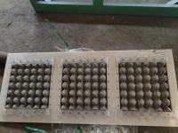 China Customized 30 Holes Pulp Molding Egg Tray Machine With Aluminum Mould For Small Capacity Food Beverage for sale