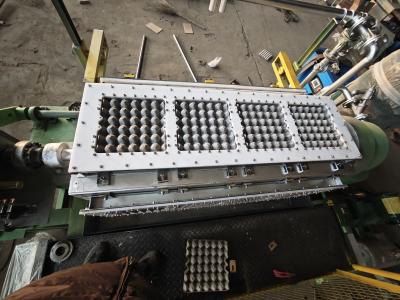 China New WANYOU Automatic Recycled Paper Egg Tray Machine Pulp Molding Machine PLC Control Touch Screen Panel 2500-3000pcs/h for sale