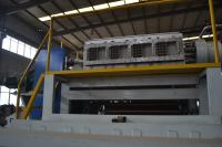 China Energy Saving Egg Tray Production Line Featuring Fully Automatic Operation and Large Capacity for Packaging Industry for sale