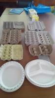 China Professional Paper Egg Tray Making Machine Computer Controlled 2000pcs/h for sale