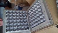 China Rotary Type Paper Tray Production Line for Egg Cartons / Apple Trays 4000pcs/h for sale