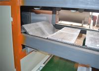 China Professional Paper Pulp Molding Machine Egg Cartons Manufacturing Machine for sale