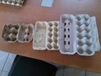 China Reciprocating Type Egg Tray Production Line Pulp Molding Machine Small Capacity for sale