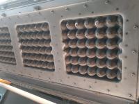 China Waste Cardboard 5000pcs Per Hour Egg Carton Machine for sale
