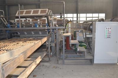 China Paper Egg Tray Manufacturing Machine / Pulp Molding Machine 2 Years Warranty for sale