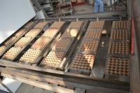 China Rotary Egg Tray Machine Waste Paper Recycling Machine for sale