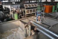 China Rotary Egg Tray Machine Waste Paper Recycling Machine for sale