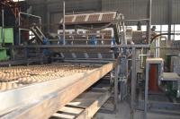 China Full Automatic Waste Egg Tray Machine / Egg Pack Box Maker With Aluminum Molds for sale