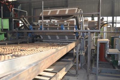 China Full Automatic Waste Egg Tray Machine / Egg Pack Box Maker With Aluminum Molds for sale