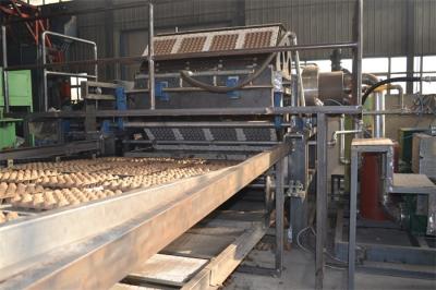 China Automatic Egg Box Making Machine / Paper Pulp Molding Machine With Vacuum Pump for sale