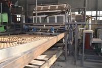 China OEM Paper Pulp Egg Carton Making Machine , Egg Crate Making Machine for sale