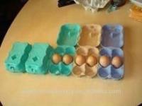 China Colored Paper Egg Carton Making Machine , Automatic Egg Tray Machine Easy Operate for sale