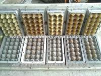 China Paper Egg Tray Fruit Tray 4000pcs Pulp Molding forming machine for sale