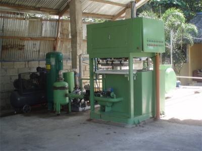 China Eco Friendly Fruit Tray / Egg Tray Production Line 350 -3000pcs/h Capacity for sale