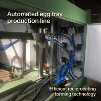 China Automatic 40kw Small1000pcs Per Hour Paper Egg Tray Machine EggTray Production Line For Making Egg Trays Egg Cartons Shoes Trays Apple Trays PLC Controlled for sale