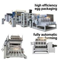 China Egg Tray Making Machine with 10,000pcs/h Output, Automatic Stacking System and Recycled Paper Input for Efficient Paper Pulp Tray Production for sale