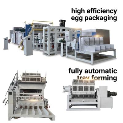 China 4000-6000pcs/h Apple Tray Egg Paper Tray Making Machine Energy Saving for sale