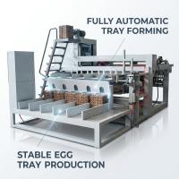 China Egg Tray Making Machine with 10,000pcs/h Output, Automatic Stacking System and Recycled Paper Input for Efficient Paper Pulp Tray Production for sale