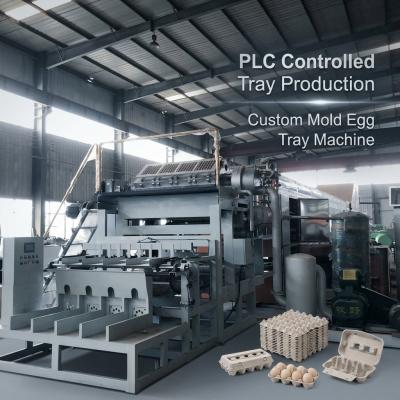 China WANYOU WY-P3 Rotary Egg Tray Production Line Egg Tray Machine 2500-3000 pcs/h Recycled Paper Pulp Molding for Venezuelan Poultry Farm for sale