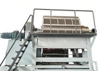 China Rotary Paper Egg Tray Machine Egg Carton Production Line 5000 pcs/h Recycled Paper Pulp Molding for Mexican Poultry Farm for sale