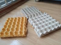 China Hot Pressing Pulp Molding Machine Egg Tray Production Line With Germany Valves for sale