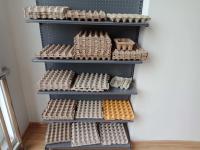 China Low Noise Durable Egg Carton Making Machine Paper Egg Carton Forming Machine for sale