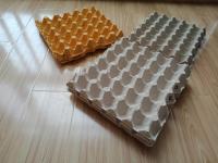 China Paper Egg Tray Production Line Computer Controlled With High Efficiency for sale