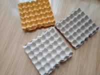 China Waste Paper Egg Tray / Carton Machine With Germany Valve For Small Medium Company for sale