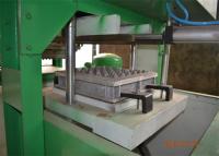 China High Efficiency Paper Egg Crate Making Machine , Fruit Tray Making Machine for sale