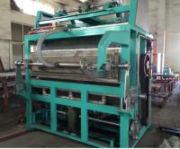 China Professional Paper Pulp Molding Equipment Rotary Forming Paper Egg Tray Production for sale
