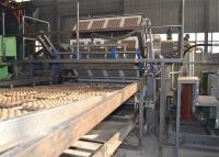 China Jinan wanyou egg tray Paper Tray Forming Machine For Pulp Moulding for sale