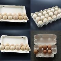 China 150kw 6 Caves Egg Carton Making Machine Ce Paper Egg Tray Making Machine for sale