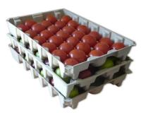 China High Capacity Waste Paper Recycling Carton Egg Tray Machine With CE Certified for sale