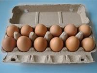 China Small Capacity Paper Egg Carton Making Machine , Waste Paper Pulp Molding Machine for sale