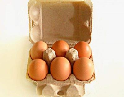 China 150kw 6 Caves Egg Carton Making Machine Ce Paper Egg Tray Making Machine for sale