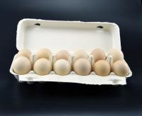 China Hot Air Drying Paper Egg Tray Making Machine with Waste Paper Raw Material for sale