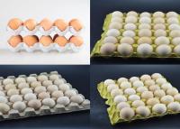 China Low Noise Paper Egg Tray Machine , Egg Box Making Machine Paper Apple Tray Making for sale