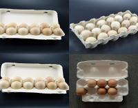 China Environment Friendly Semi Automatic Egg Tray Machine Egg Tray Making Machine for sale