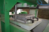 China 350pcs/h Pulp Waste Paper Egg Tray Making Machine Egg Packaging Machine for sale