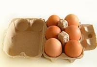 China Semi Automatic Pulp Molding Machine Egg Tray Making Machine Computer Controlled for sale