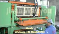 China Paper Apple Tray / Egg Tray Manufacturing Unit With Low Energy Consumption for sale